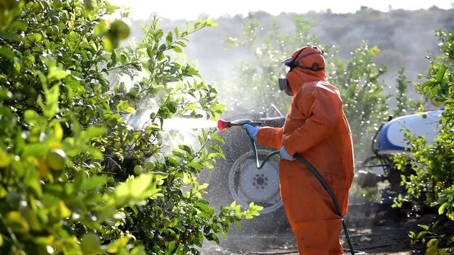 รูปภาพInsecticide – เลือกดูภาพถ่ายสต็อก เวกเตอร์ และวิดีโอ71,790 ...