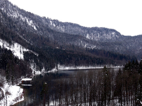 Bavary Bilder – Durchsuchen 40 Archivfotos, Vektorgrafiken und Videos ...