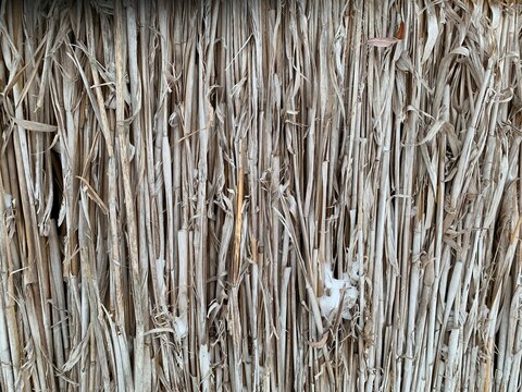 "Straw Background" Images – Browse 713 Stock Photos, Vectors, and Video ...