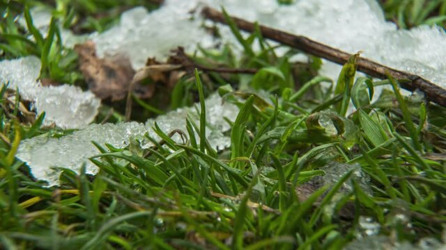 Spring Thaw Images – Browse 98,911 Stock Photos, Vectors, and Video ...