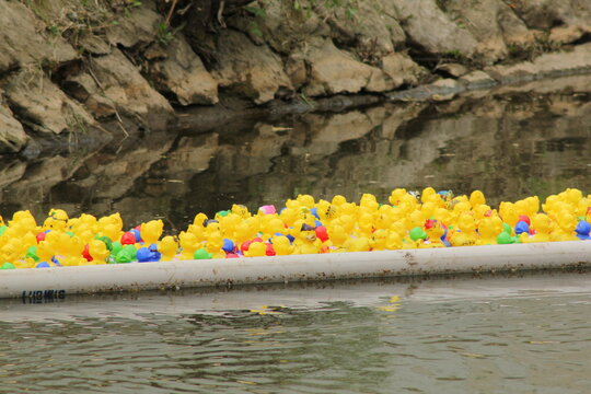 Entenangeln Bilder – Durchsuchen 92 Archivfotos, Vektorgrafiken und ...