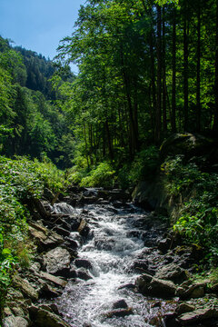 Downstream Images – Browse 11,866 Stock Photos, Vectors, and Video ...