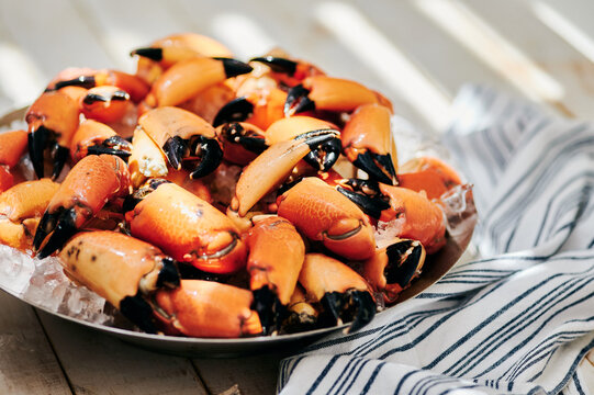 รูปภาพPangora – เลือกดูภาพถ่ายสต็อก เวกเตอร์ และวิดีโอ6 | Adobe Stock