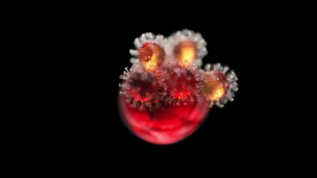 รูปภาพProgenitor – เลือกดูภาพถ่ายสต็อก เวกเตอร์ และวิดีโอ39,942 | Adobe Stock