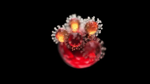 รูปภาพProgenitor – เลือกดูภาพถ่ายสต็อก เวกเตอร์ และวิดีโอ39,942 | Adobe Stock