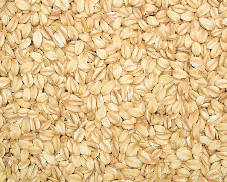 「Oaten」の画像 - 1,157 件の Stock 写真、ベクターおよびビデオ | Adobe Stock
