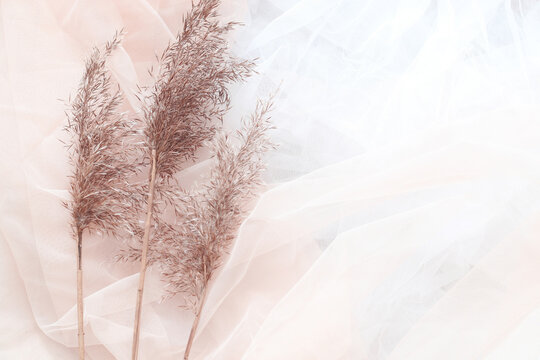 รูปภาพTull – เลือกดูภาพถ่ายสต็อก เวกเตอร์ และวิดีโอ253 | Adobe Stock