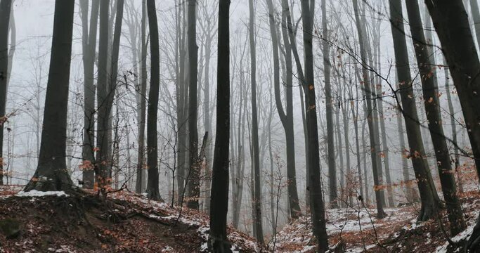 Flaky 影像 – 瀏覽 271,034 個素材庫相片、向量圖和影片 | Adobe Stock