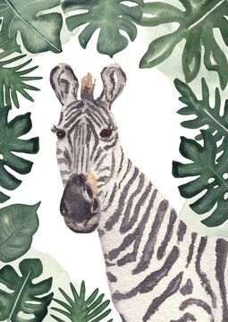 Posend Bilder – Durchsuchen 302 Archivfotos, Vektorgrafiken und Videos ...