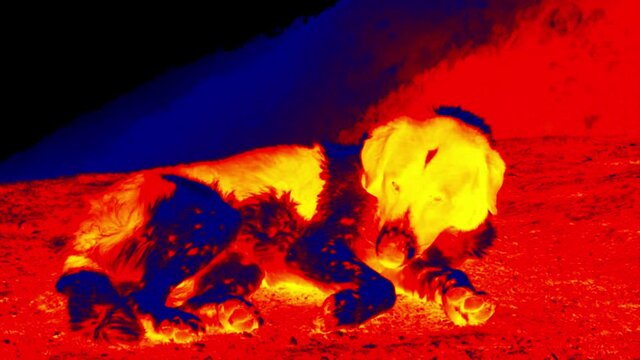 Nap.visual Bilder – Durchsuchen 297 Archivfotos, Vektorgrafiken und ...