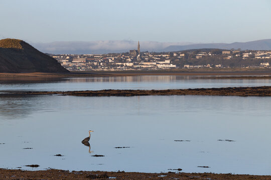 รูปภาพTramore – เลือกดูภาพถ่ายสต็อก เวกเตอร์ และวิดีโอ339 | Adobe Stock