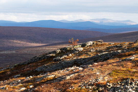 รูปภาพUrho – เลือกดูภาพถ่ายสต็อก เวกเตอร์ และวิดีโอ478 | Adobe Stock