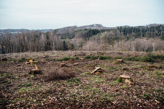 Befall Images – Browse 58,433 Stock Photos, Vectors, and Video | Adobe ...