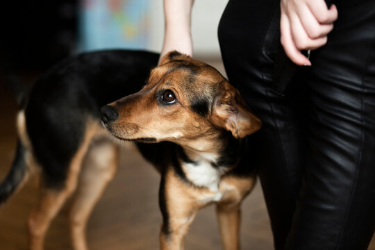 Fummeln-Bilder: Stock-Fotos & -Videos. | Adobe Stock