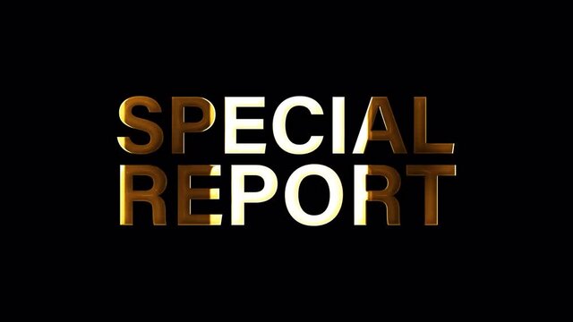 Special Report Logo