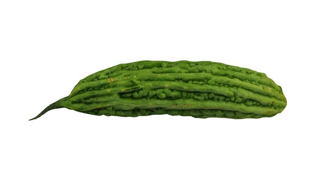 Ampalaya