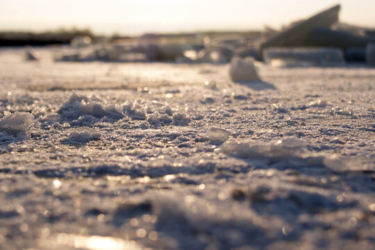 Lodu Images – Browse 25,242 Stock Photos, Vectors, and Video | Adobe Stock