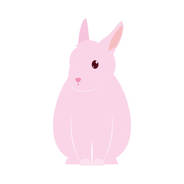 "Pink Rabbit" Images – Browse 304 Stock Photos, Vectors, and Video ...