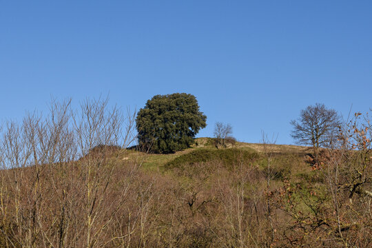 Labaru Images – Browse 63 Stock Photos, Vectors, and Video | Adobe Stock