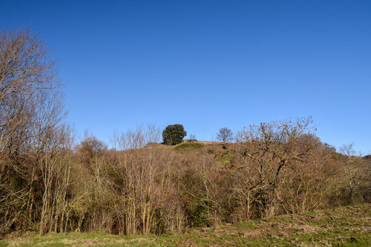 Labaru Images – Browse 63 Stock Photos, Vectors, and Video | Adobe Stock