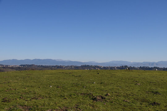 Labaru Images – Browse 63 Stock Photos, Vectors, and Video | Adobe Stock