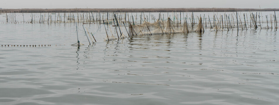 Schlammloch Bilder – Durchsuchen 13,348 Archivfotos, Vektorgrafiken und ...