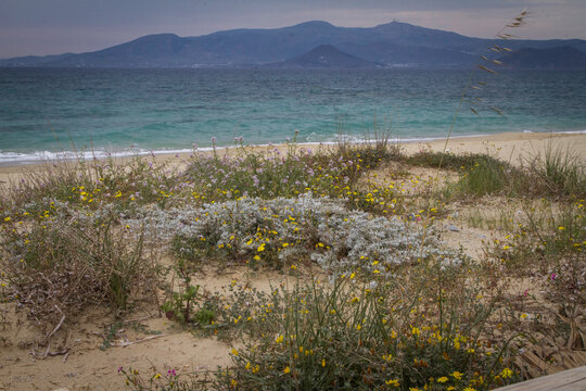 Ogonek 画像 - 参照 2,454 Stock 写真、ベクターおよびビデオ | Adobe Stock