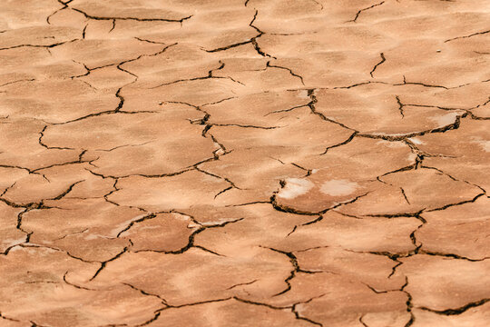Imágenes de Cuarteado: descubre bancos de fotos, ilustraciones ...