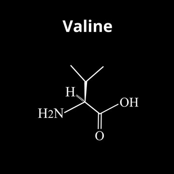 รูปภาพValine – เลือกดูภาพถ่ายสต็อก เวกเตอร์ และวิดีโอ871 | Adobe Stock