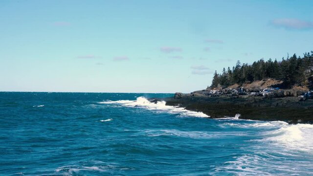 Bay Of Fundy Waves
