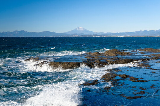 รูปภาพCatamite – เลือกดูภาพถ่ายสต็อก เวกเตอร์ และวิดีโอ1,098 | Adobe Stock