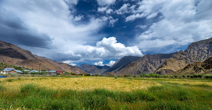 「Drass」の写真素材 | 1,372件の無料イラスト画像 | Adobe Stock