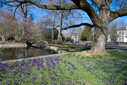 รูปภาพ"Freiburger – เลือกดูภาพถ่ายสต็อก เวกเตอร์ และวิดีโอ1,531 | Adobe ...