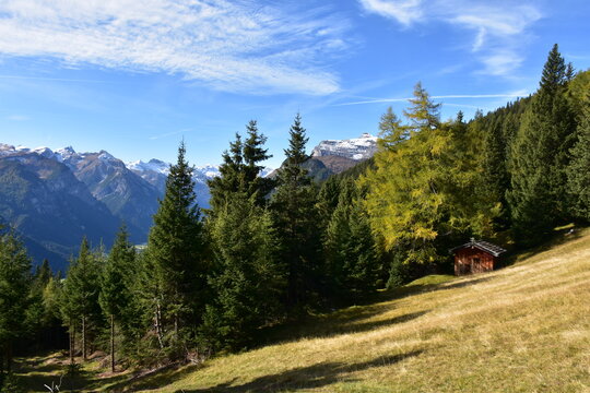 รูปภาพZirbenwald – เลือกดูภาพถ่ายสต็อก เวกเตอร์ และวิดีโอ131 | Adobe Stock