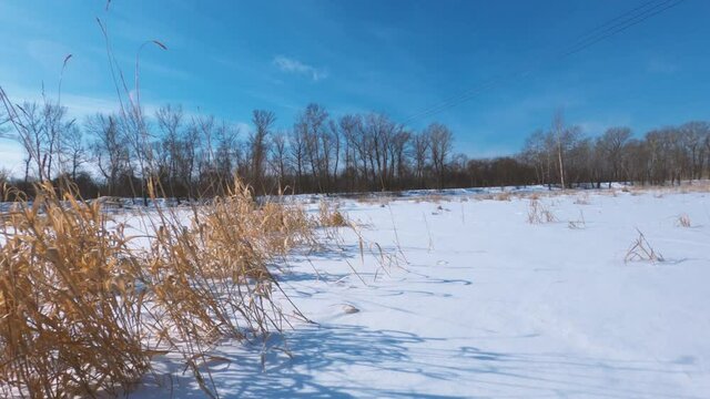 Insensitive Images – Browse 7,000 Stock Photos, Vectors, and Video ...