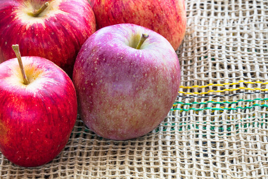 รูปภาพReticulate – เลือกดูภาพถ่ายสต็อก เวกเตอร์ และวิดีโอ9,485 | Adobe ...