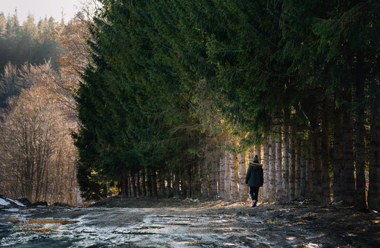 รูปภาพMucky – เลือกดูภาพถ่ายสต็อก เวกเตอร์ และวิดีโอ126,544 | Adobe Stock