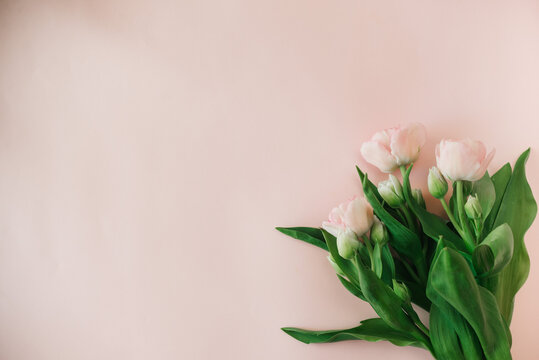 Brevity Images – Browse 3,623 Stock Photos, Vectors, and Video | Adobe ...