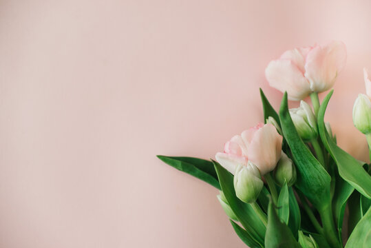 Brevity Images – Browse 3,623 Stock Photos, Vectors, and Video | Adobe ...