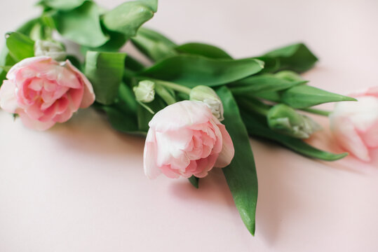 Brevity Images – Browse 3,623 Stock Photos, Vectors, and Video | Adobe ...