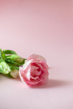Brevity Images – Browse 3,947 Stock Photos, Vectors, and Video | Adobe ...