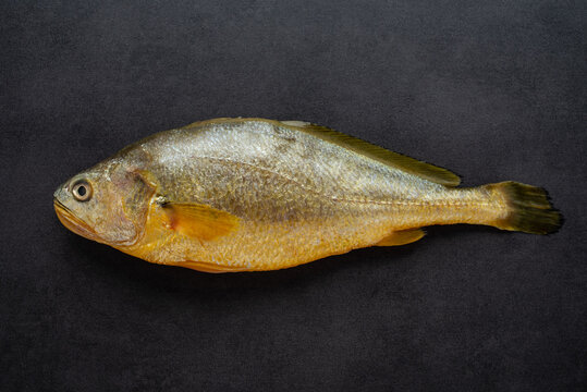 "Yellow Croaker" Images – Browse 889 Stock Photos, Vectors, and Video ...