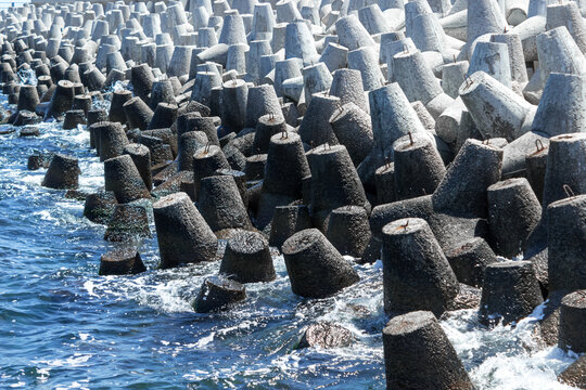 Tetrapod bilder – Bläddra bland 15,870 stockfoton, vektorer och videor ...