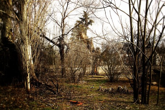 Descuidado Images – Browse 321 Stock Photos, Vectors, and Video | Adobe ...