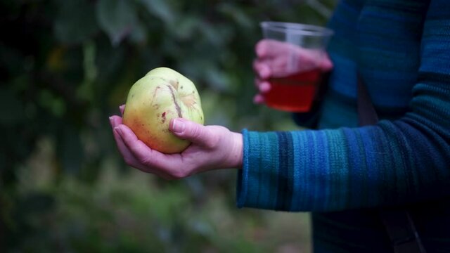 Hard Cider-Bilder: Stock-Fotos & -Videos. | Adobe Stock