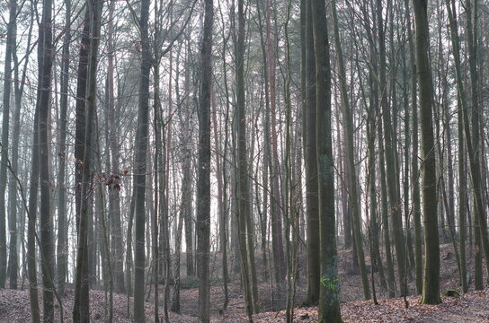 「Tief」の写真素材 | 12,673件の無料イラスト画像 | Adobe Stock