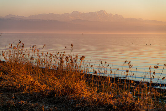 Chillig Bilder – Durchsuchen 772 Archivfotos, Vektorgrafiken und Videos ...