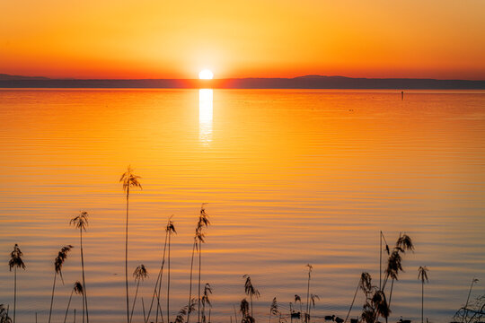 「Chillig」の画像 - 747 件の Stock 写真、ベクターおよびビデオ | Adobe Stock