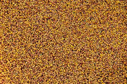 Mustard Texture Images – Browse 32,684 Stock Photos, Vectors, and Video ...