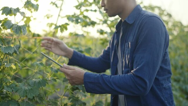 Standard Video Footage – Browse 14,132 HD Stock Video and Footage ...